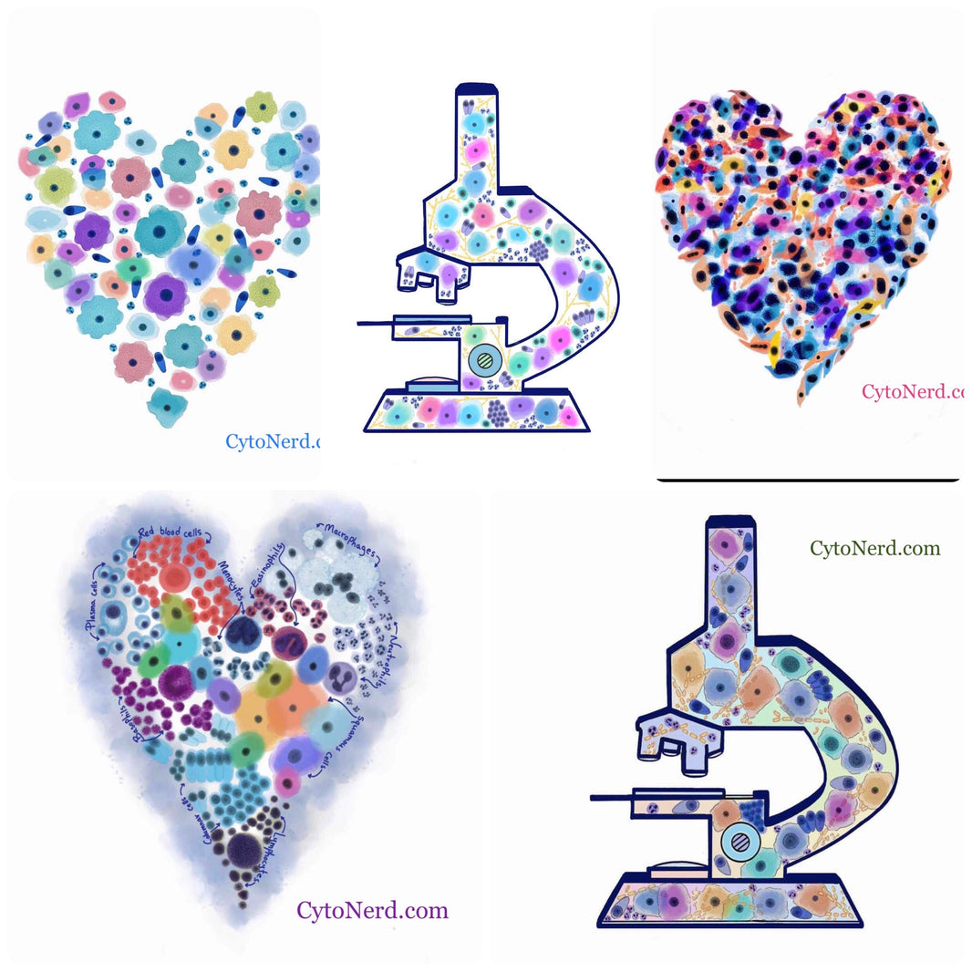 Cytology posters, pathology study guides, cytology stickers arts