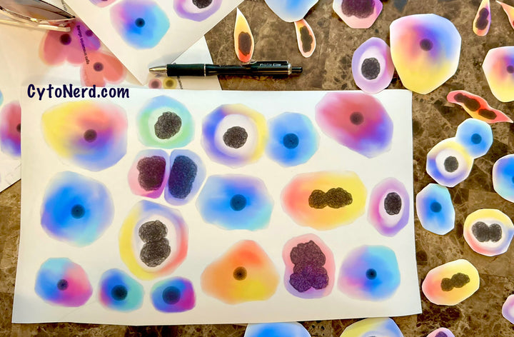 Cytology posters, pathology study guides, cytology stickers arts