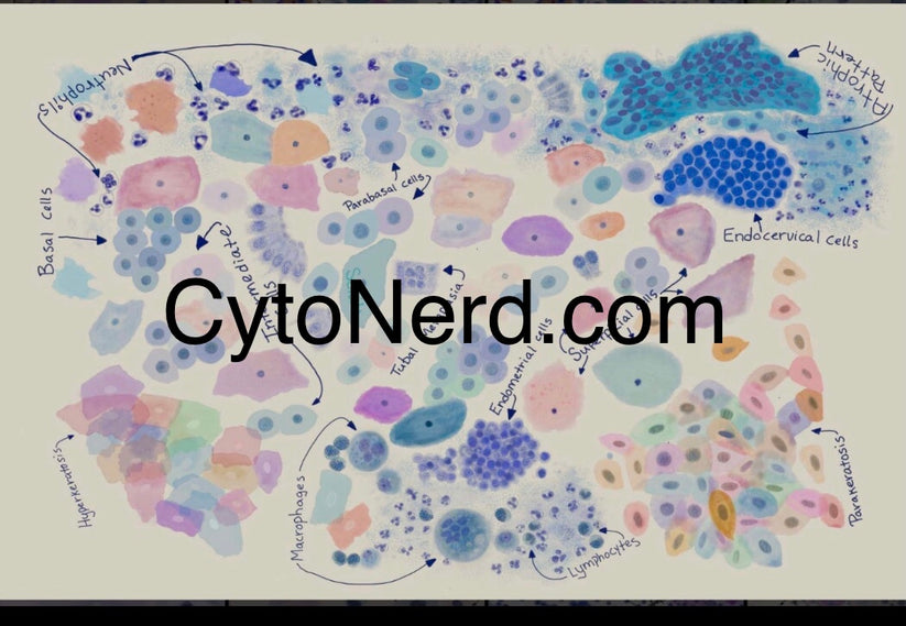 Cytology art prints, cells art painting, pathologyart print