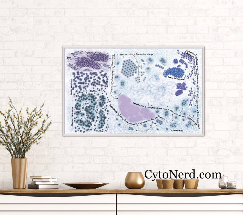 Cytology art prints, cells stickers, cytology artprint